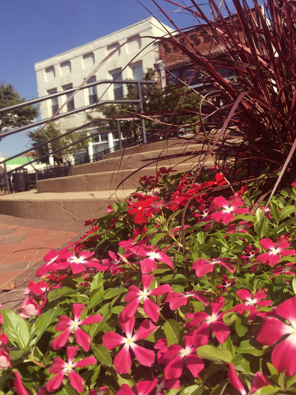 City of Dallas Photo Gallery | Dallas, GA