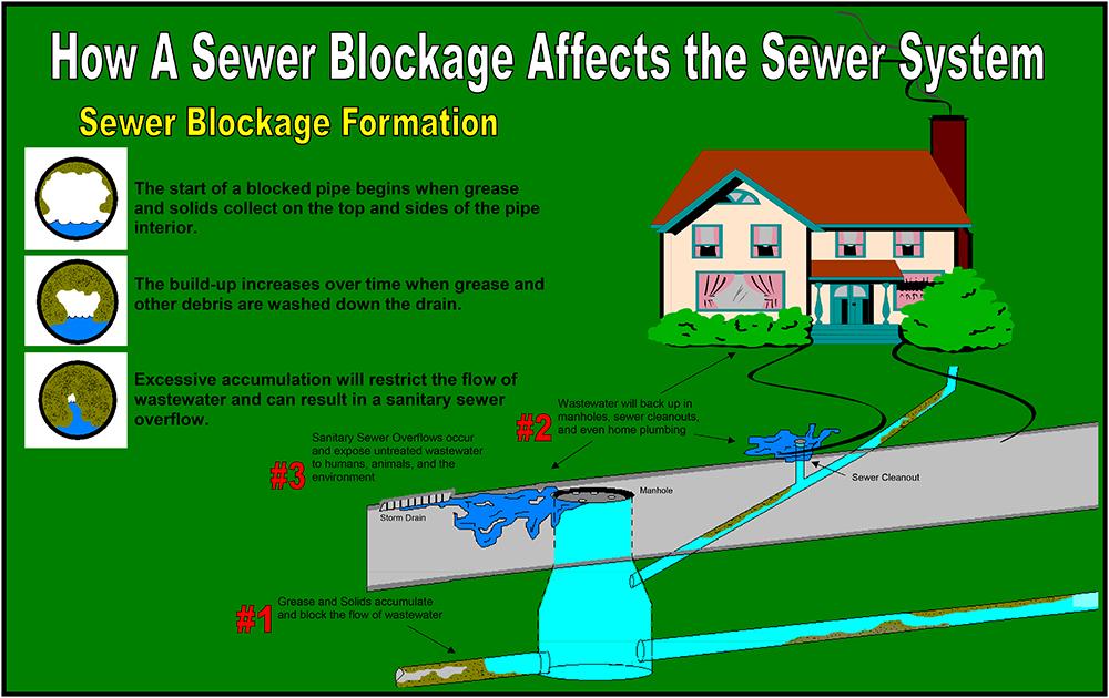 FOG Facts | Dallas, GA